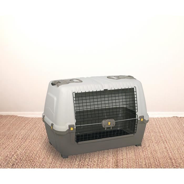 Dmora Cage de transport rigide pour chiens ou chats en polypropylène ...
