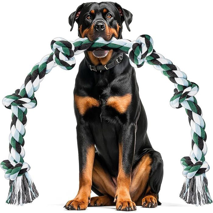 Corde de jouet chien indestructible 100cm 6-nœuds 100% coton, jouet à ...