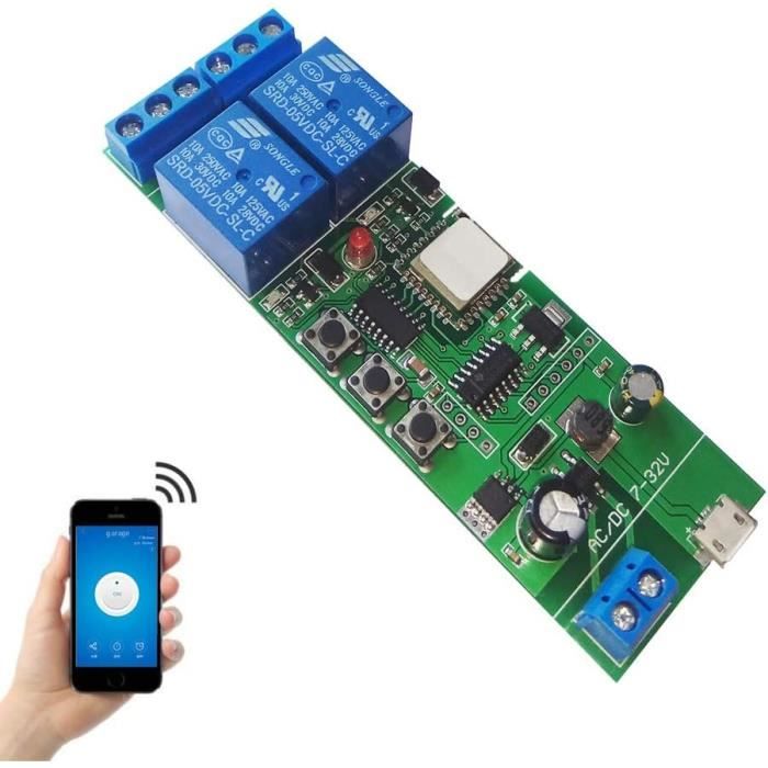 Module De Relais Wifi Sonoff, 2 Canaux Dc 5-32V Wifi Avec Télécommande ...