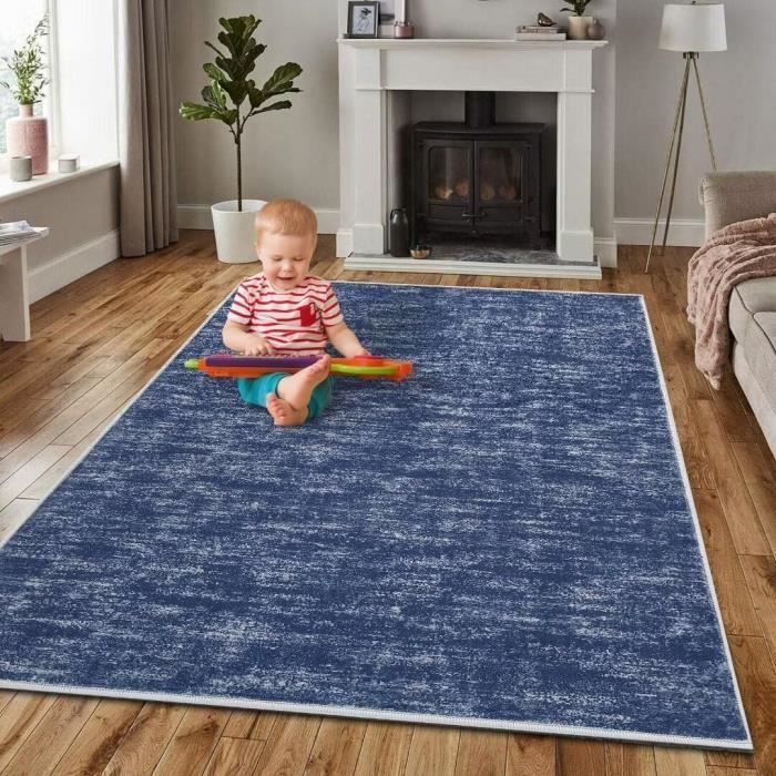 Tapis de Salon, Lavable en Machine, Tapis Solide Moderne, pour Chambre ...