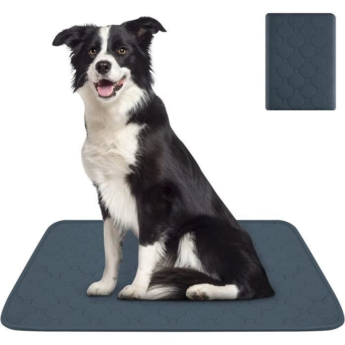 Tapis Éducateur Chien, Dog Pee Pads Tapis de Dressage pour Chiots ...