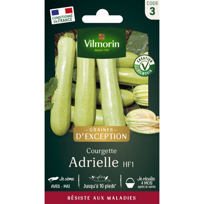 VILMORIN Courgette Adrielle HF1 Création Vilmorin - Cdiscount Jardin