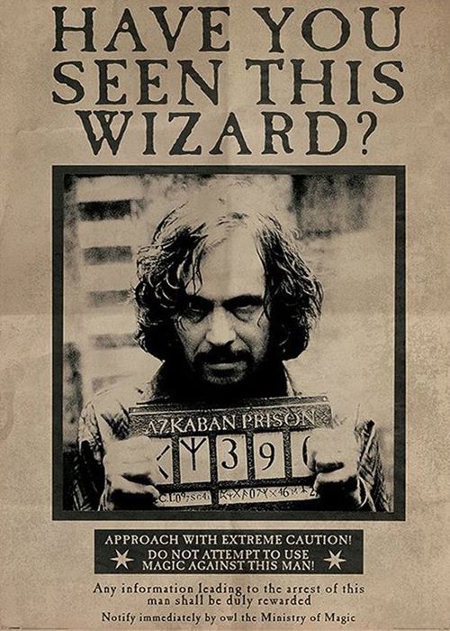 Harry Potter - Have you seen this Wizard? - 61x91,5cm - Affiche ...