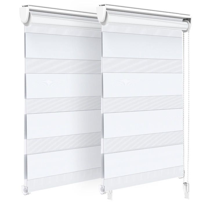 VOUNOT® Lot de 2 Stores enrouleurs jour/nuit zébrés - 50 x 150 cm ...