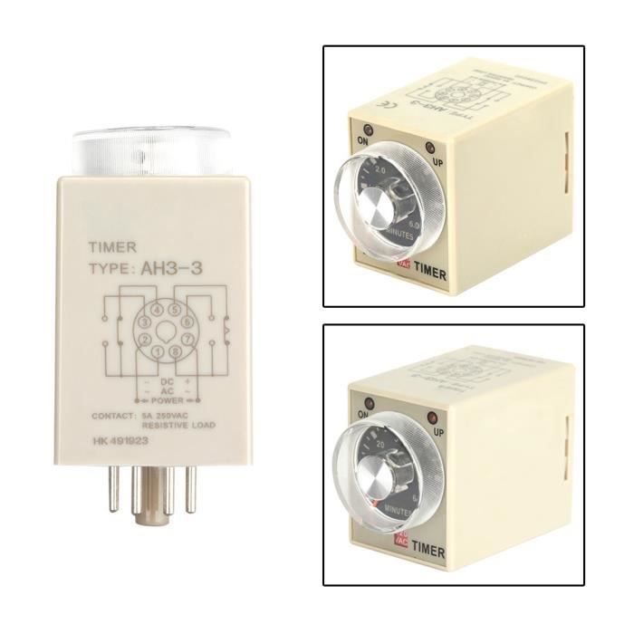 MAG Relais temporisé 220VAC 60 Minutes Power On Delay Timer Time Relay ...