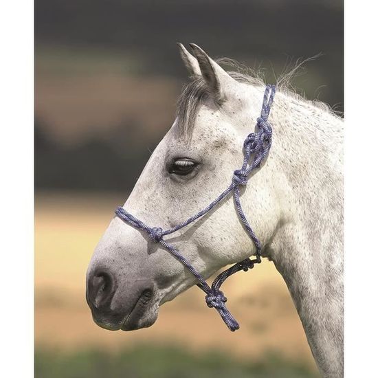 Licol en Corde–Taille Unique Réglable Choisir Votre Couleur. [99] - Cdiscount