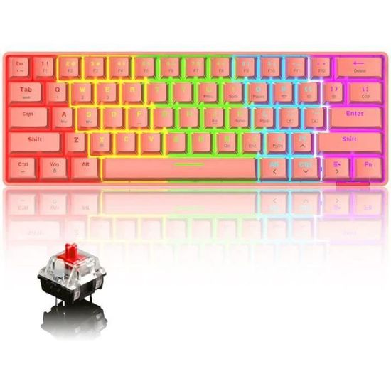 RGB Clavier Gamer Mécanique QWERTY, Mode de connexion double ...