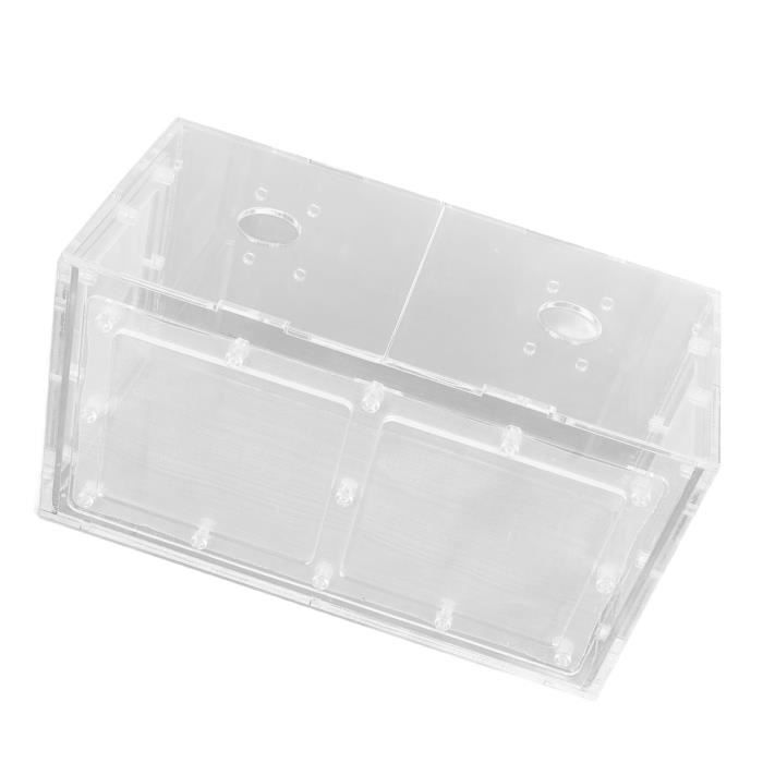 Boîte d'élevage de poissons - OMABETA - Transparent - 20x10x11cm ...