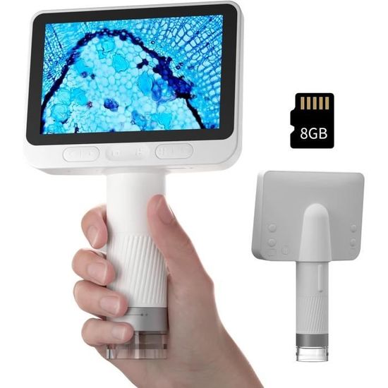 BEAVERLAB Microscope Numérique 4,0 Pouces,Microscope de Poche 100X ...