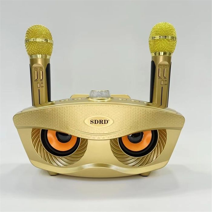 Machine Karaoké Portable SD306-Enceinte Bluetooth avec 2 Micros ...