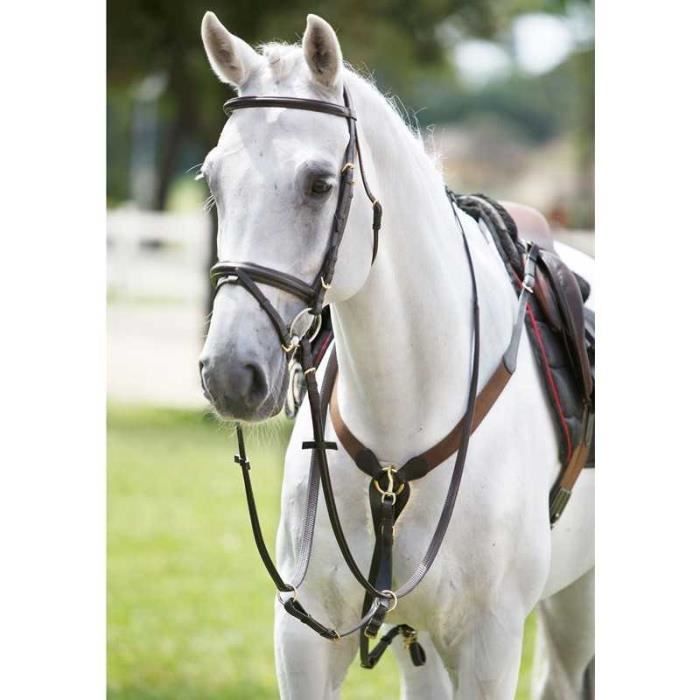 Collier de chasse pour cheval élastique en y avec martingale Tattini ...