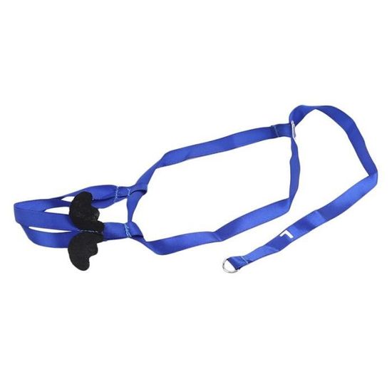 Perroquet coloré oiseau collier harnais réglable perroquets oiseau ...