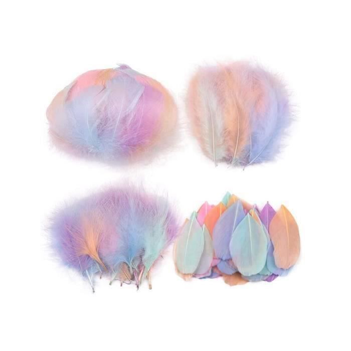 Plumes Naturelles Multicolores 200 pièces Plumes Colorées Artisanat Art ...