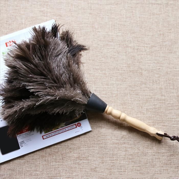 Pwshymi-Duster Outil de nettoyage de dépoussiérage de plumeau de plume ...