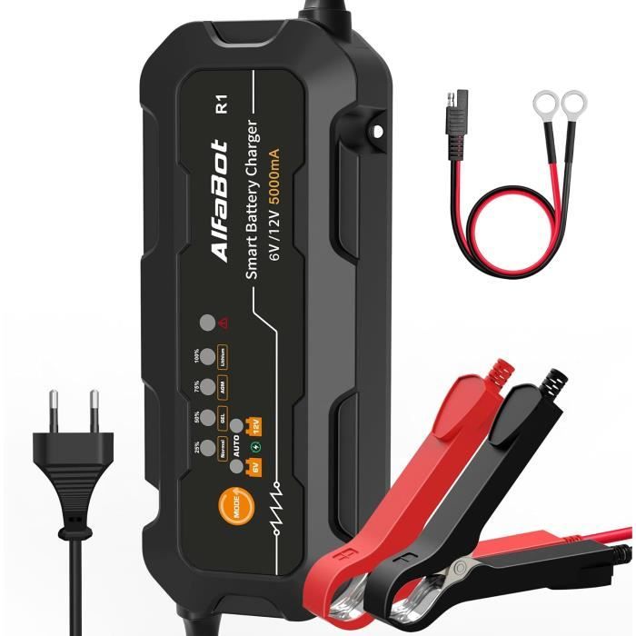 Chargeur Batterie Voitures Intelligent R1, 5A Chargeur De Batterie ...
