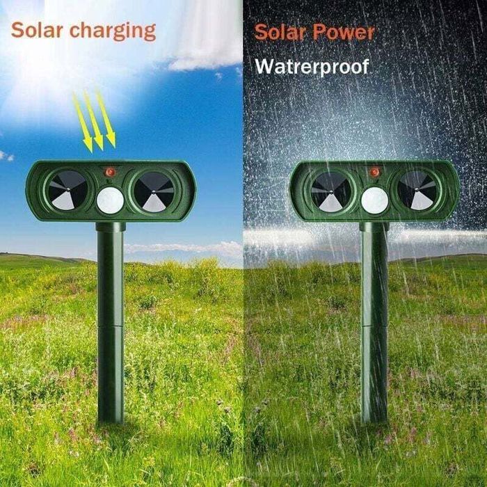 Répulsif Chat Ultrason Solaire Repulsif Chat Exterieur Sensibilité et ...