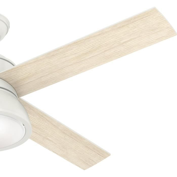 Fan Loki, 132 Cm, Ventilateur De Plafond Intérieur Avec Lumière Et ...