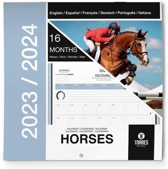 Calendrier 2024 - Calendrier mural avec 16 mois - Dimensions 30 x 30 cm ...