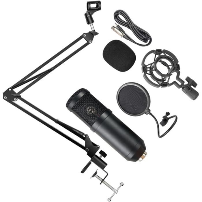 1 Jeu Microphone Micro À Condensateur Micro Usb Kit De Micro De ...