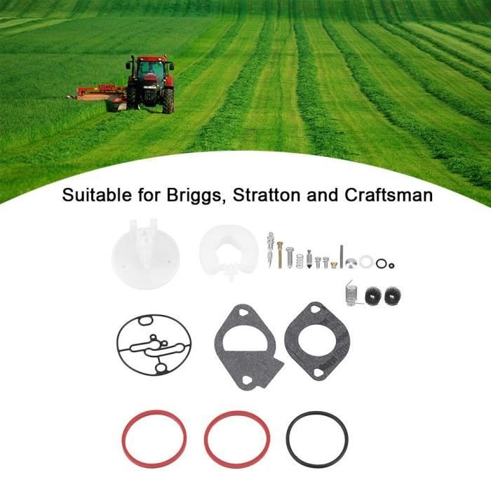Tbest Kit de carburateur pour Briggs Révision de Kit de carburateur en ...