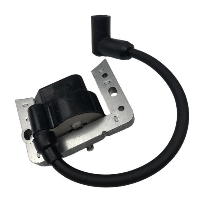 Remplacement Du Module de D'allumage pour Moteur Tecumseh AH600, AV520 ...