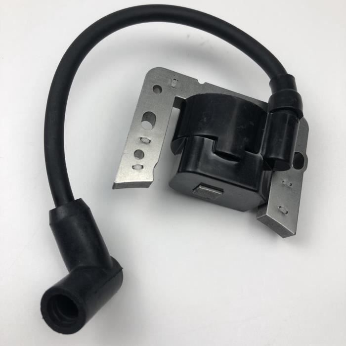 Remplacement Du Module de D'allumage pour Moteur Tecumseh AH600, AV520 ...