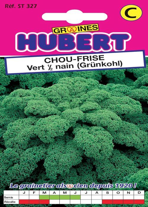 Graines de Chou Frisé 1/2 Nain Kale - 2 grammes.[Q273] - Cdiscount Jardin