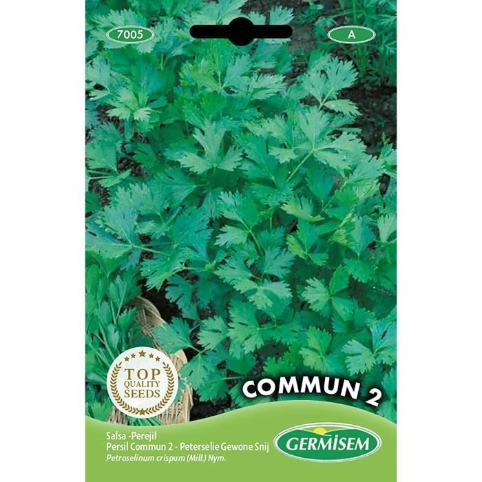 Germisem graines Persil Commun 2[181] - Cdiscount Jardin