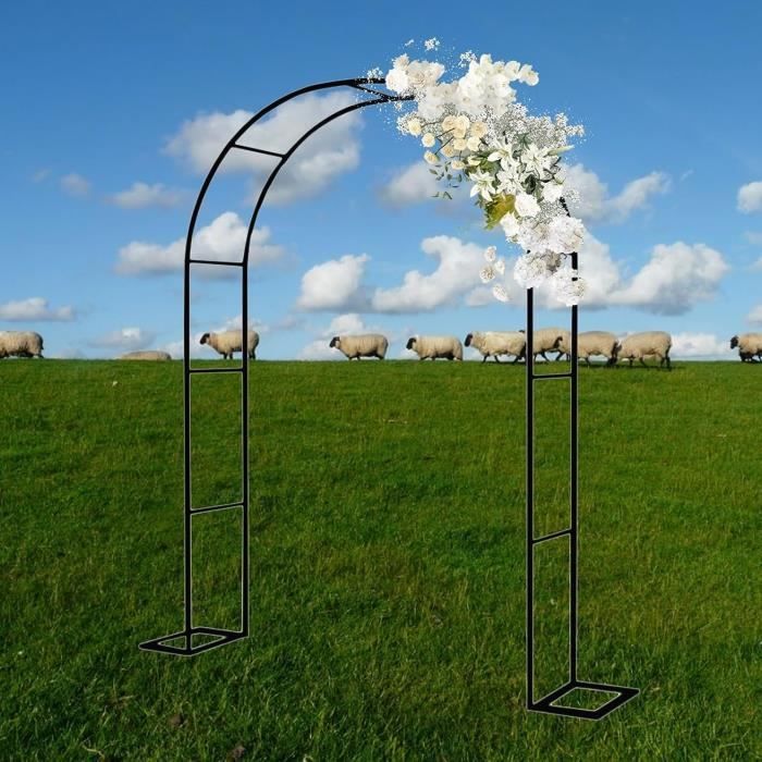 Arche Jardin En Métal, Arche De Jardin Pour Plantes Grimpantes, Arche À ...