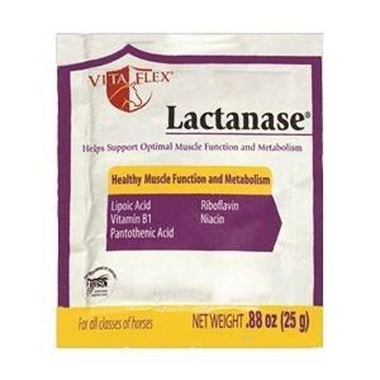 Lactanase b12 Exces d'Acides Lactiques Cheval Poudre Orale sachet de ...