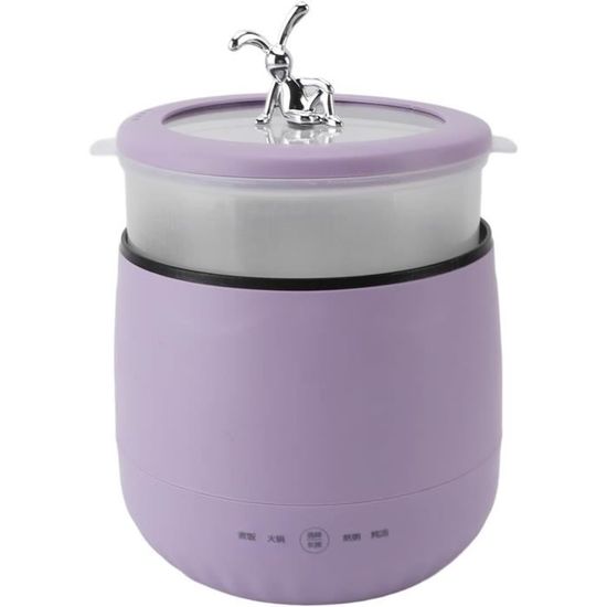 Pot Électrique, Mini Cuisinière Électrique À Chauffage Uniforme 220V ...