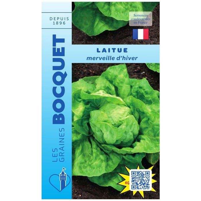 Graine - Semence - Laitue d'hiver Merveille d'hiver - Cdiscount Jardin