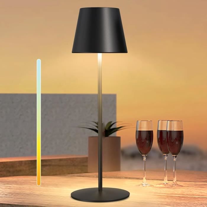 Lampe De Table Led Sans Fil À Intensité Variable-Couleur De La Lumière ...