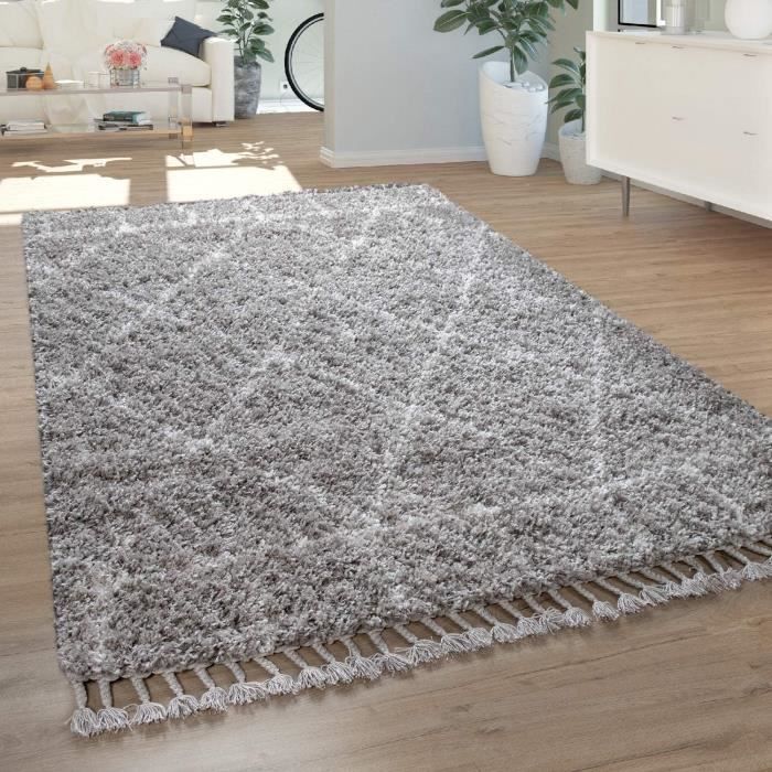 Tapis Salon, Chambre-Poils Longs Shaggy Motifs Coloris Et Tailles Variés, Dimension:120X170 Cm ...
