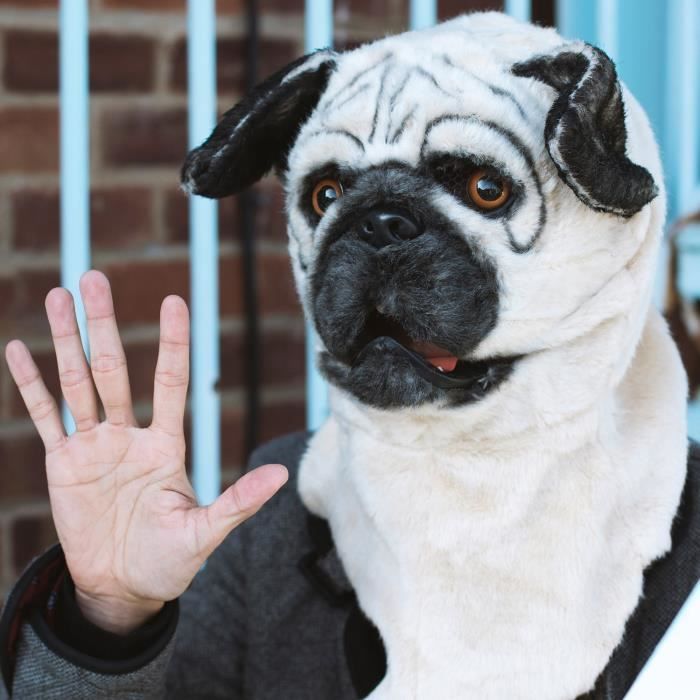 THE JESTER Masque Chien M. Pug - Cdiscount Jeux - Jouets