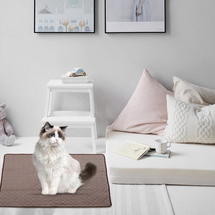 Tapis rafraîchissant pour animaux — Tapis rafraîchissant pour chien en ...