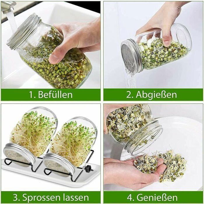 Bocaux à Germer De, 750 ML Germoir en Verre avec, Germoir pour Graines ...