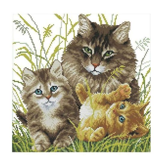 Serious-Kit De Broderie Point De Croix Estampé Bricolage Motif De Chat ...