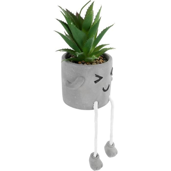 Plante En Pot Maison Fausses Succulentes - Marque - Modèle - Gris 2 ...
