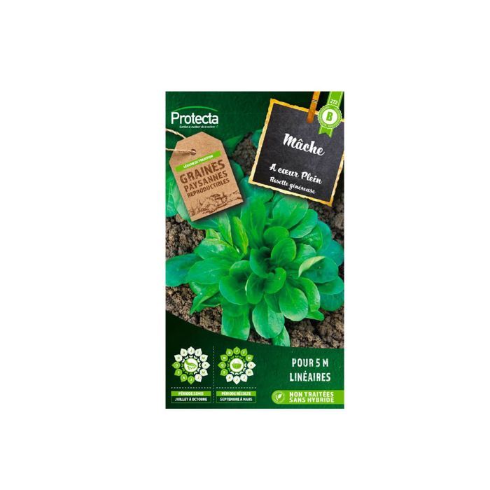 Mâche Verte à coeur plein 3 - Cdiscount Jardin