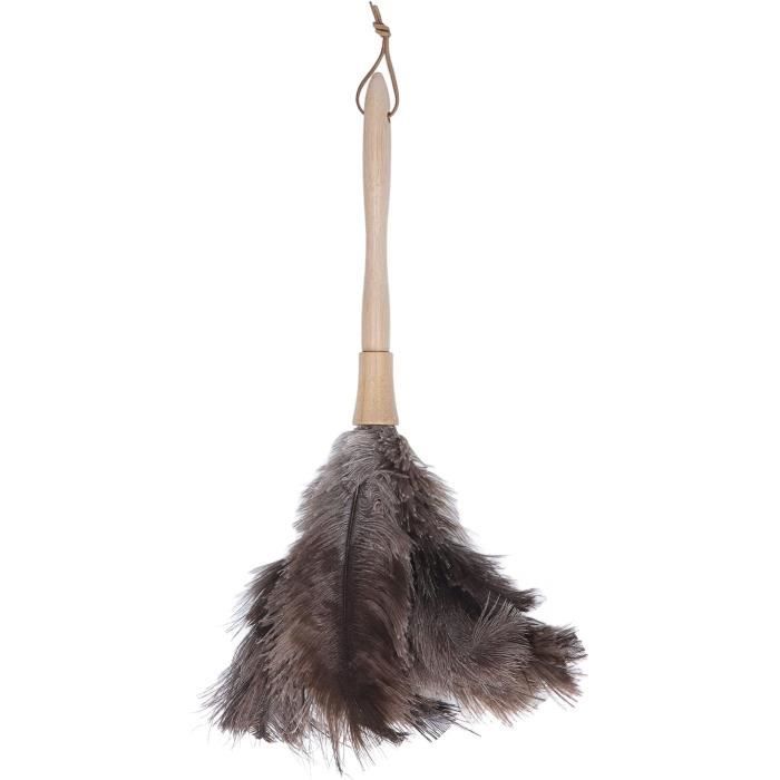 Plumeaux De Plumes, Mini Plumeau D'autruche Réutilisable Lavable Pour ...