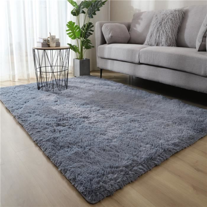 Tapis Salon Shaggy 160 x 230 cm - Descente de lit Tapis Poils Longs Tapis Doux pour Salon ...