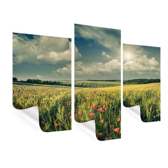 Poster en 3 parties moderne Le coquelicot dans le champ de blé 120 x 80 ...