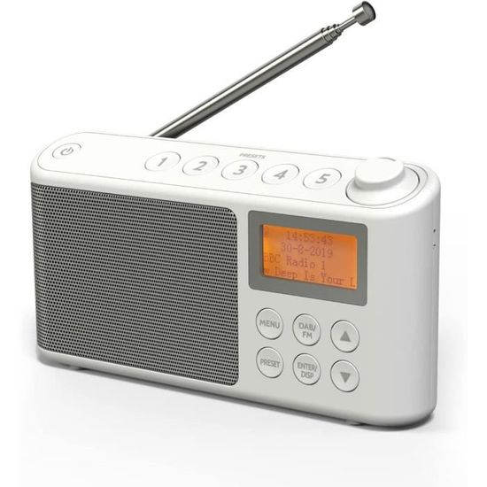 Radio Dab-Dab+ FM, Alimentation Secteur et Batterie, Poste Radio Numérique Dab Portable avec ...