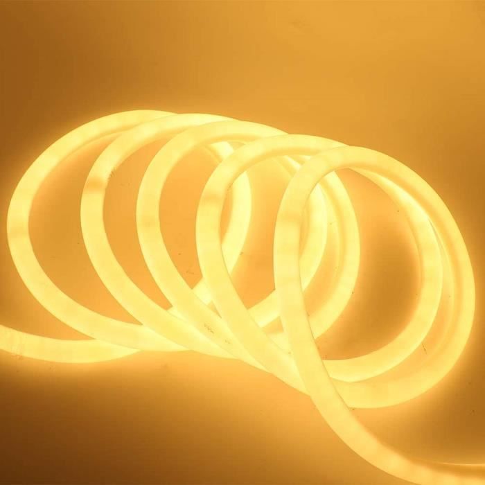 Bande Led Néon 220 V,6 M,Tube Lumineux Led,En Silicone,Ip65,Étanche ...