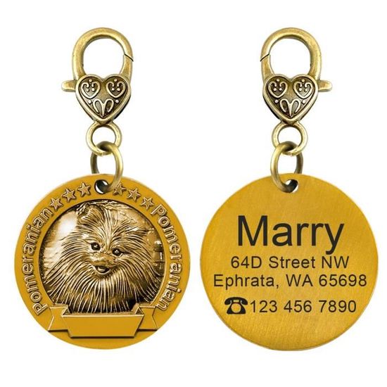 Plaque d'identification personnalisée pour chien, plaque de nom pour ...