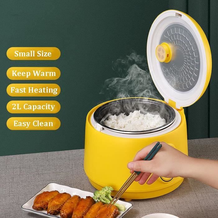 Cuiseur À Riz Electrique 2L Cuiseurs À Riz Petits Avec Pot Intérieur Antiadhésif Amovible Cuit ...