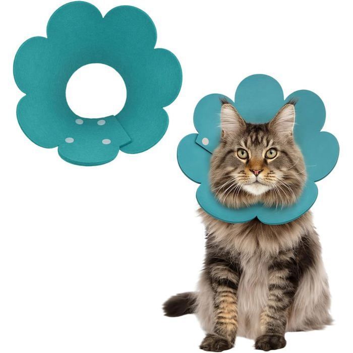 1 Cône Collerette en Plastique Protecteur de Cou Réglable pour Chat ...