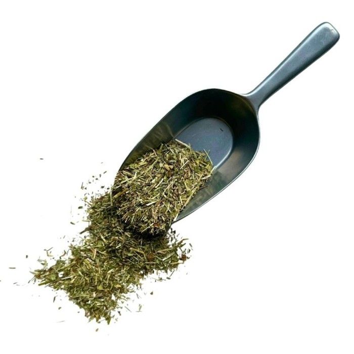 Tisane Euphraise 250 GRS (Casse lunette) plante Euphrasia officinalis ...