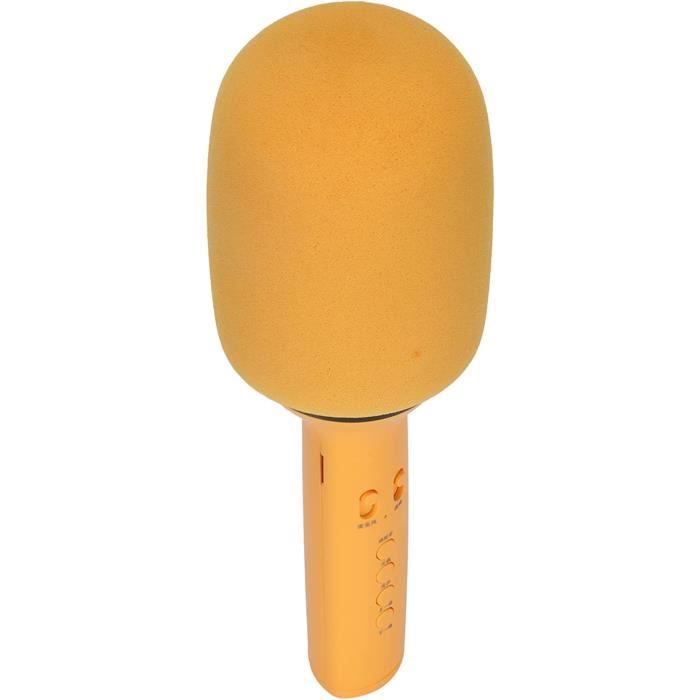 Micro karaoké, réglage facile du volume Haut-parleur de fête avec ...